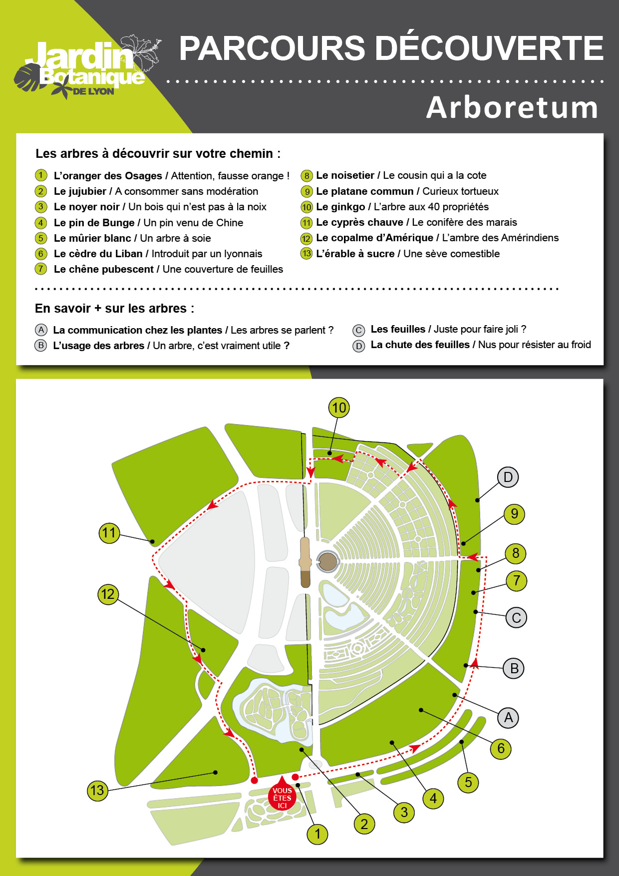 Arboretum - Jardin botanique de Lyon